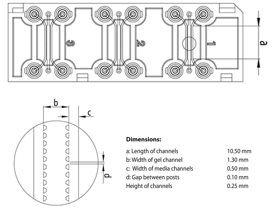 IdenTx 3 3D细胞培养芯片 – 杰诺迪（北京）科技有限公司